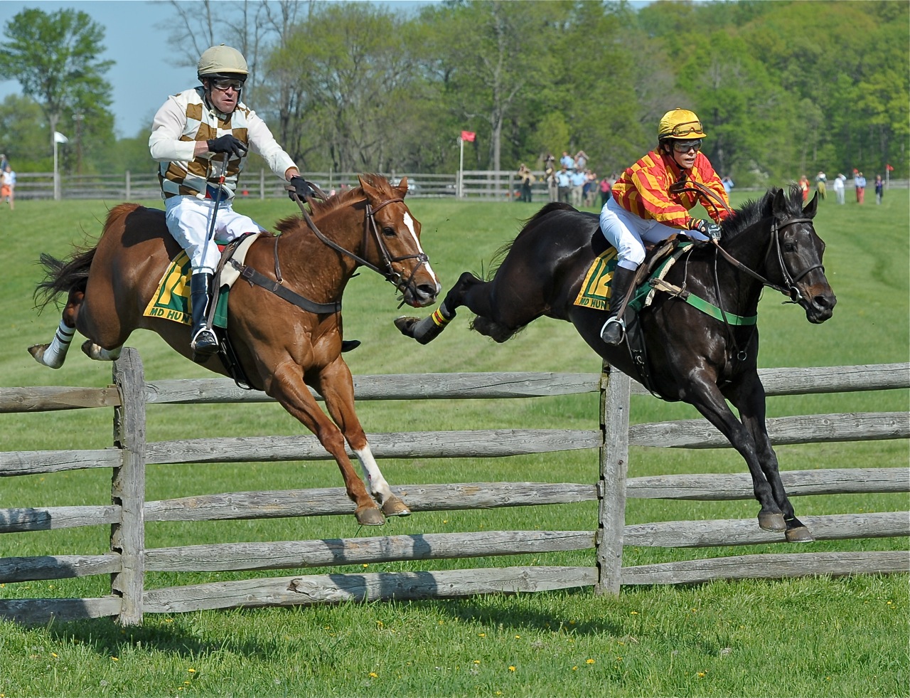 Virginia Blog Cup: DOUGLAS LEES' PHOTOS OF THE MARYLAND HUNT CUP