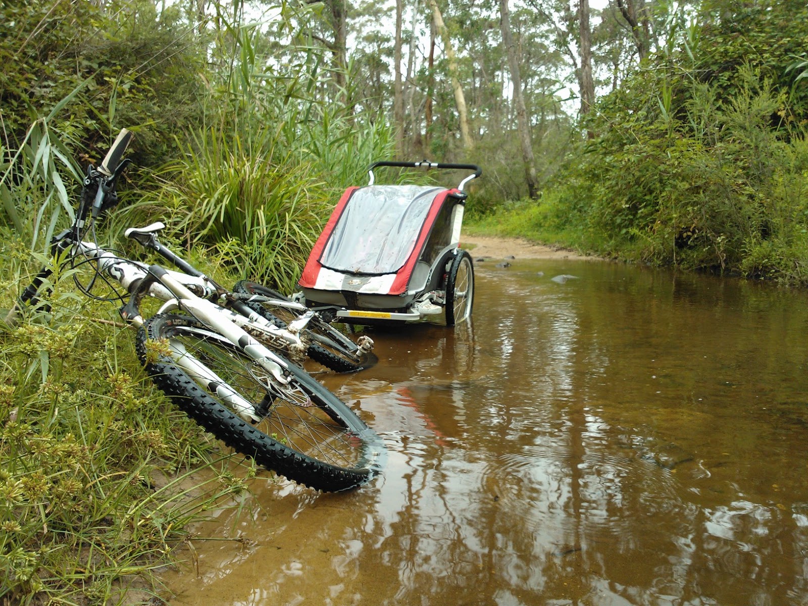 A Journey from Here to There....and everything in between.: Finding Nemo