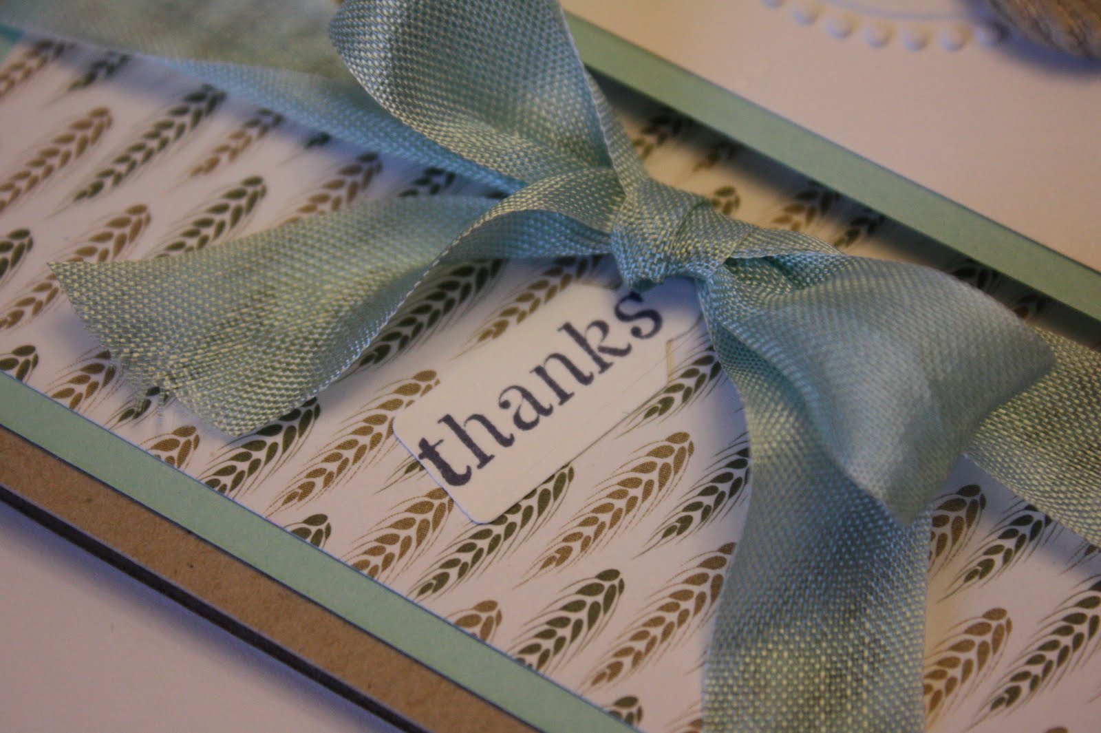 The Pursuit of Stampin'ess: Simple Soft Hostess set + Pool Party ribbon ...