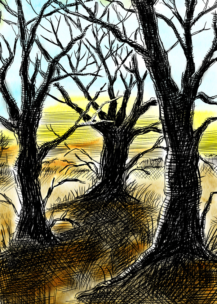 Light and Shade: June 2011