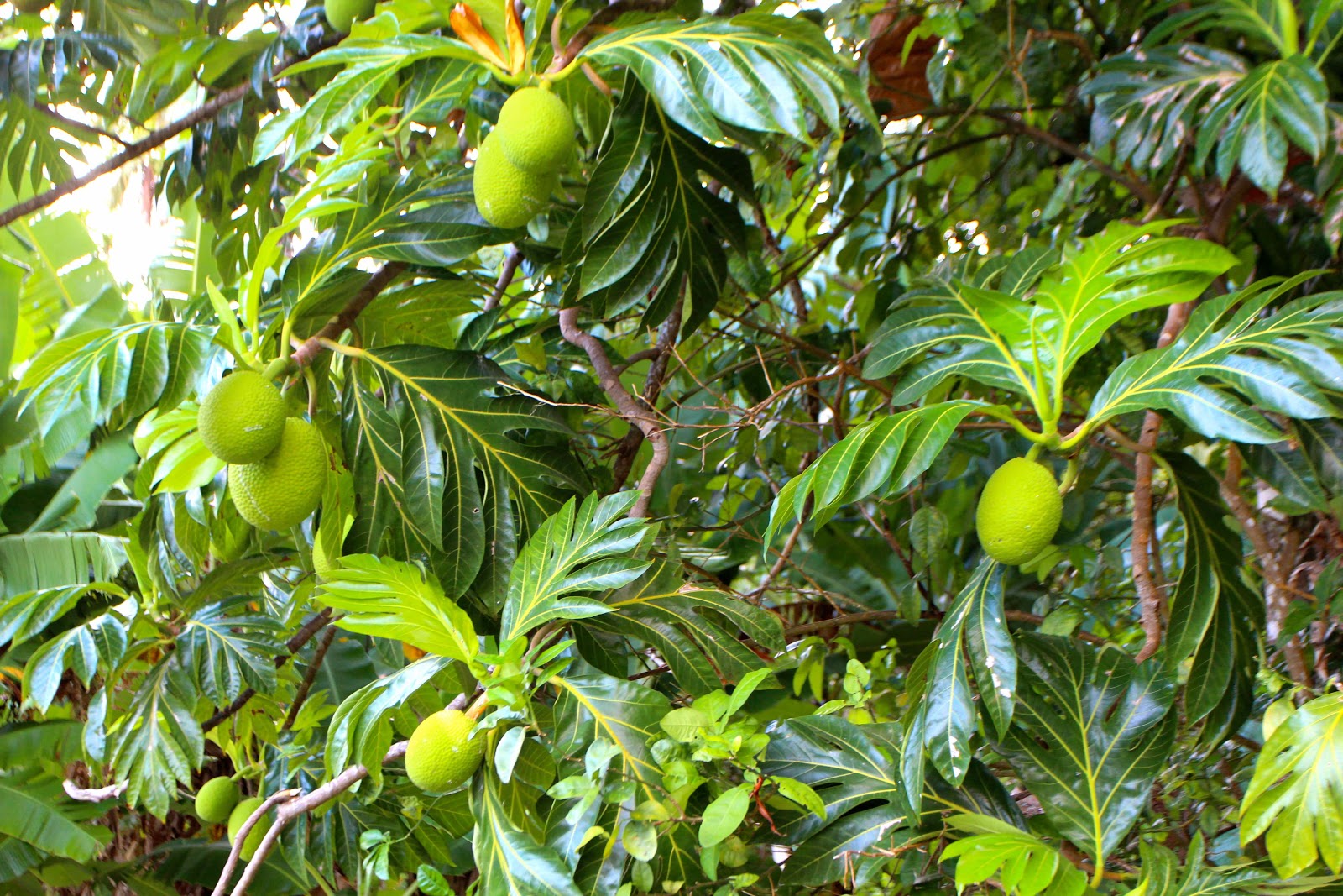 HUGZEWORLD: 2013-03-24