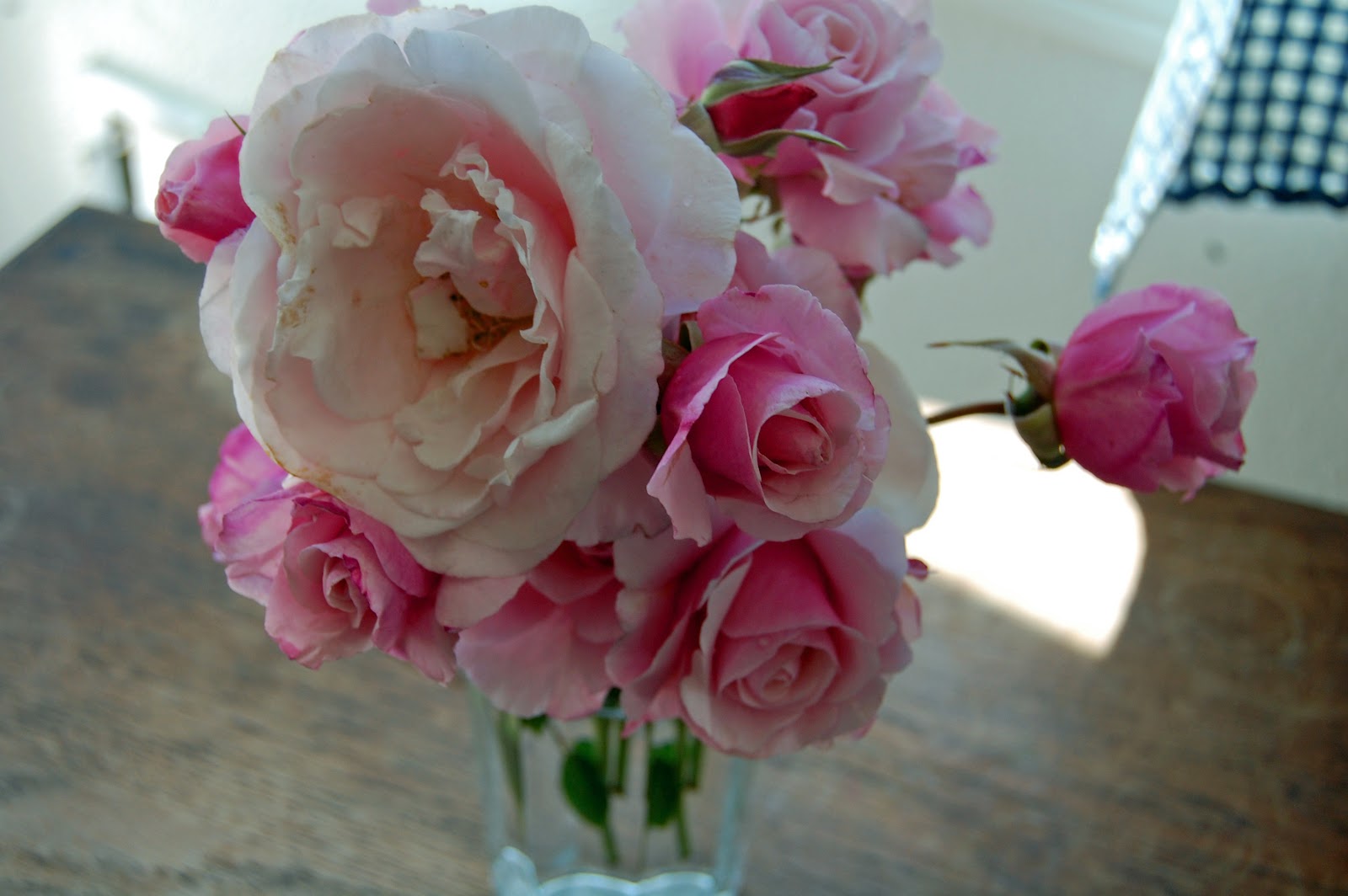 My Painted Garden: Painting Pink Roses