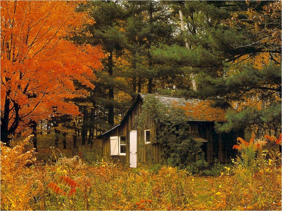 TEDrake Book Blog: A Sand County Almanac (1949) By Aldo Leopold
