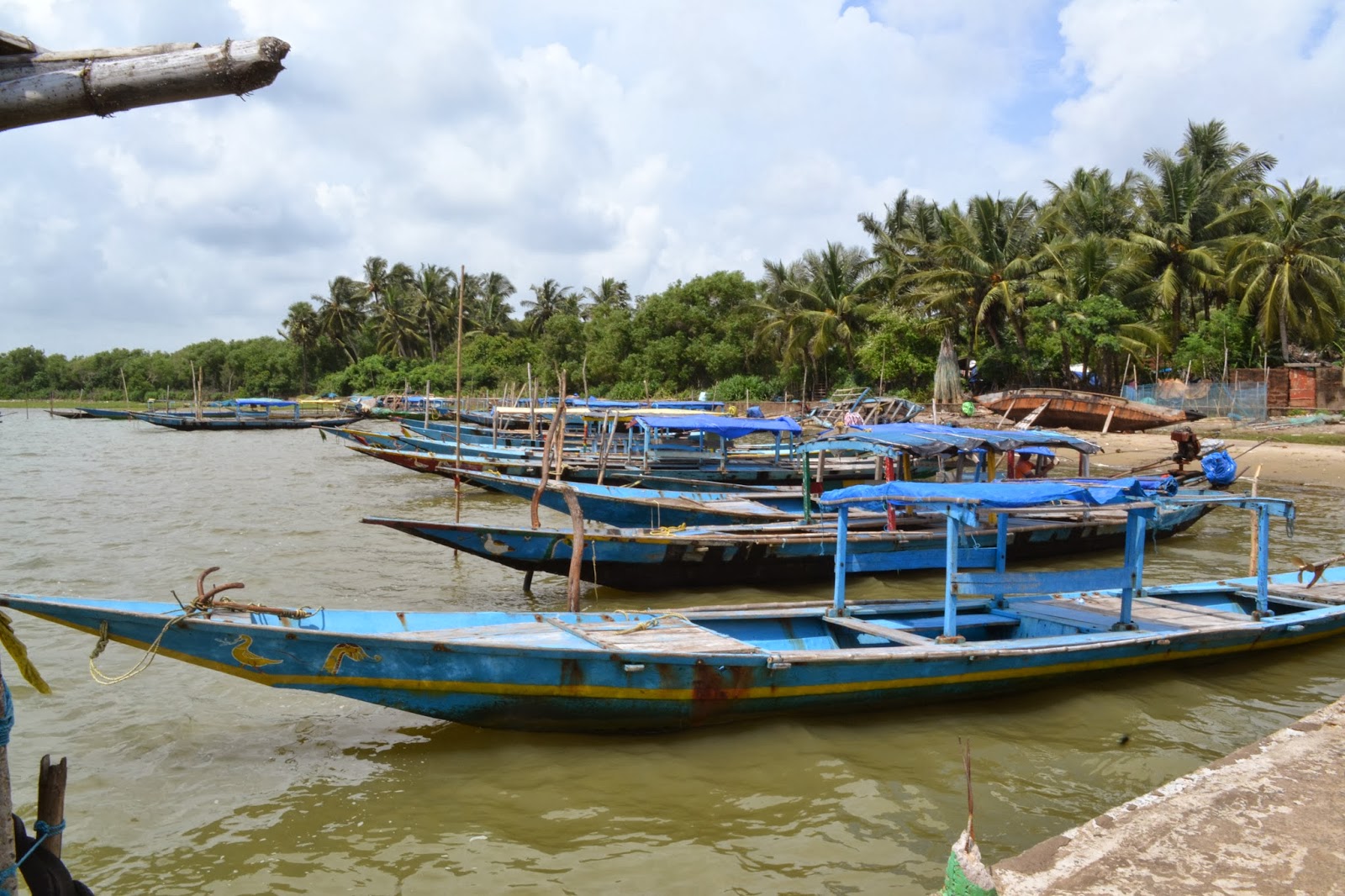 Travel diary of an idiot: In the search of chilika dolphin , Satapada