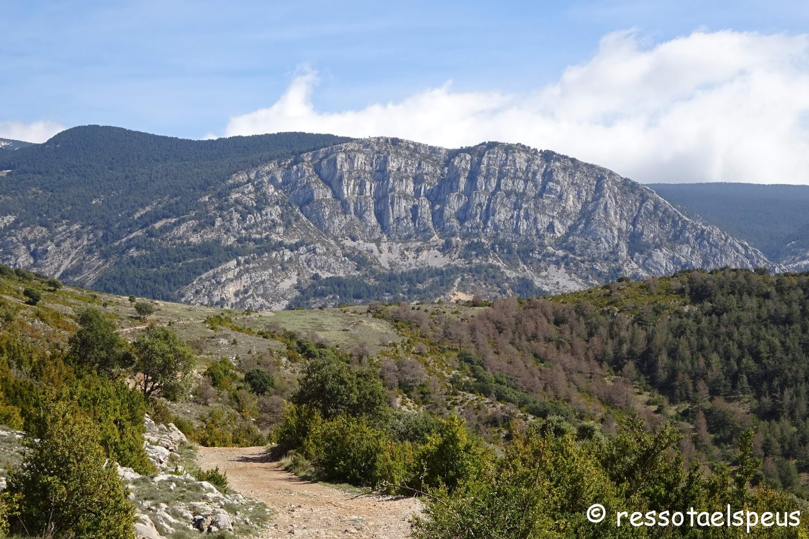 res sota els peus: Ruta circular al roc de Galliner, a la muntanya d'Alinyà