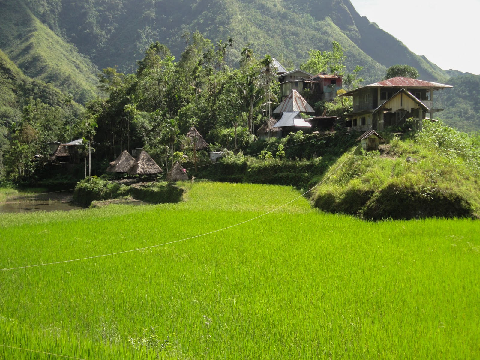 Philippines - How to build rice terraces - Sven's Travel Venues