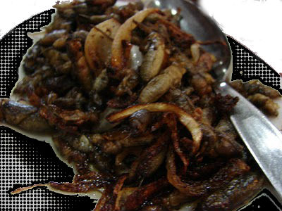 Filipino Food Recipes Review: Adobong Kamaru, a Filipino Exotic Food Recipe