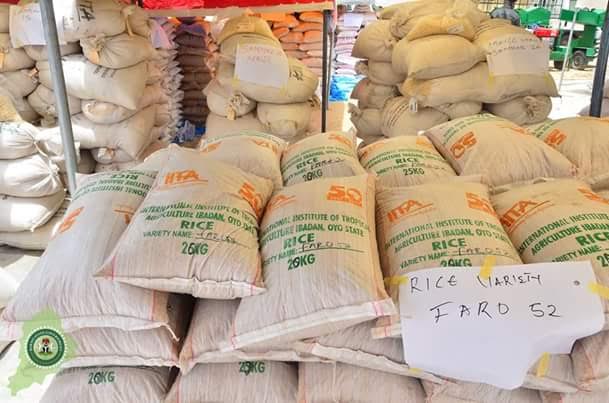 Photos: Olusegun Obasanjo arrives Borno State on 2-day official visit