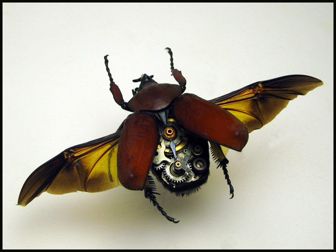 Steampunk Insects | Spicytec