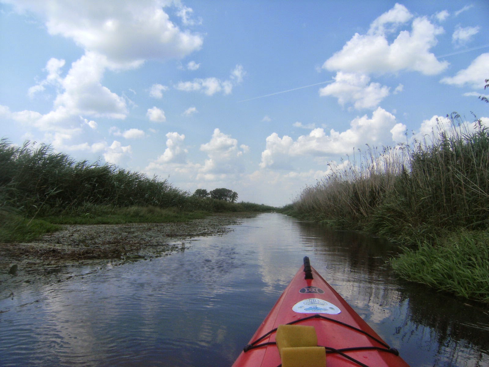 Wypożyczalnia kajaków AGAT: Rzeka Wkra