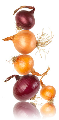 Health Benefits of Onion