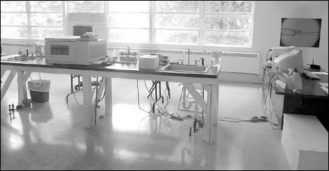 Raelian "TRUTH": Clonaid's Burden of Proof