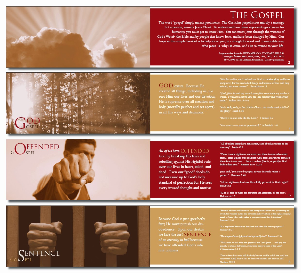 Sara Sue Designs and Photography