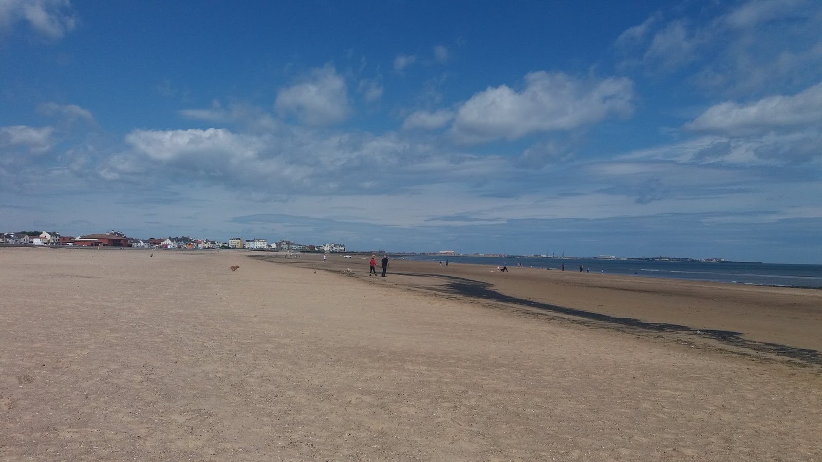 Life's A Beach. The Driftwood Lectures... : SEATON SANDS , HARTLEPOOL ...