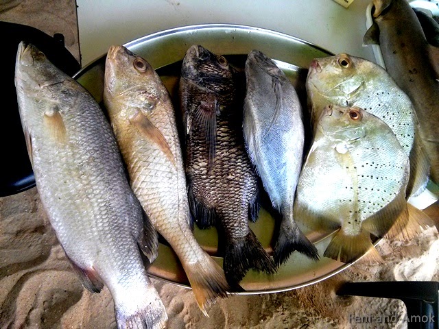 Travel and food tales: Goa - Food, Menus - South Goa (Part 2)