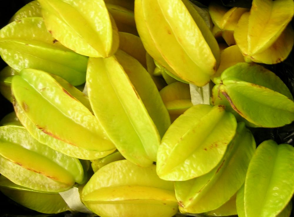 Carambola - Averrhoa carambola | Natureza Bela