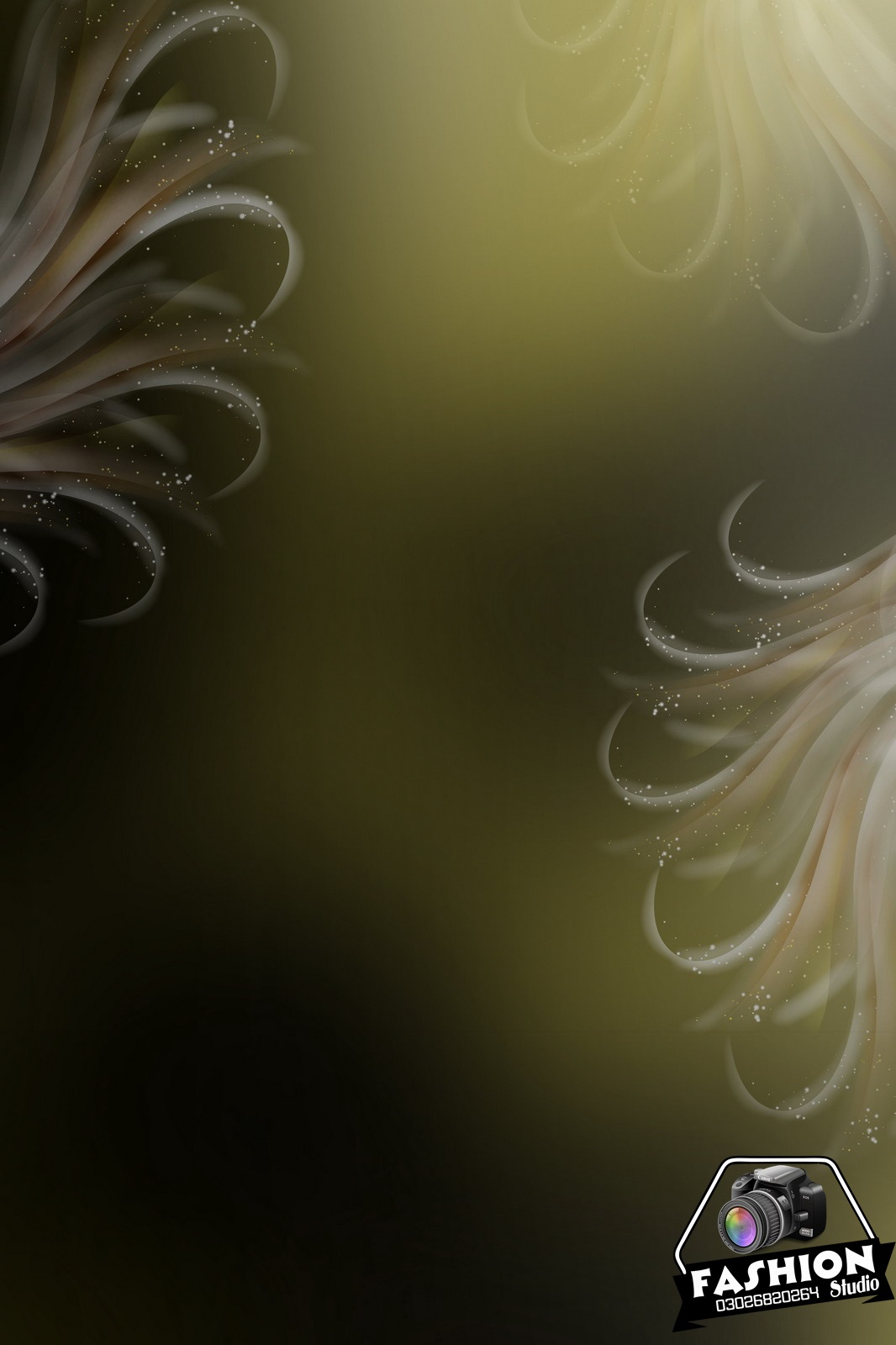 Latest Studio Background HD 8x12