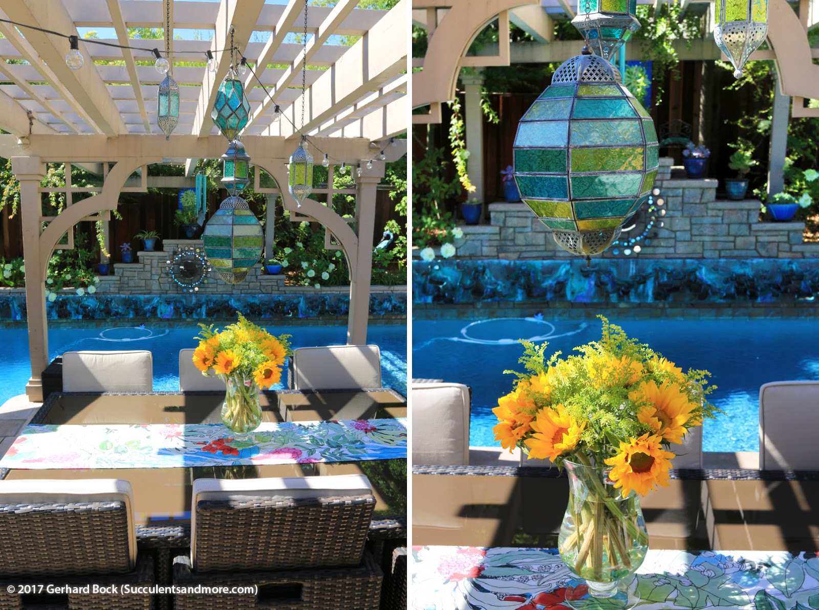 Ruth Bancroft Garden July 2017 private garden tour, part 4