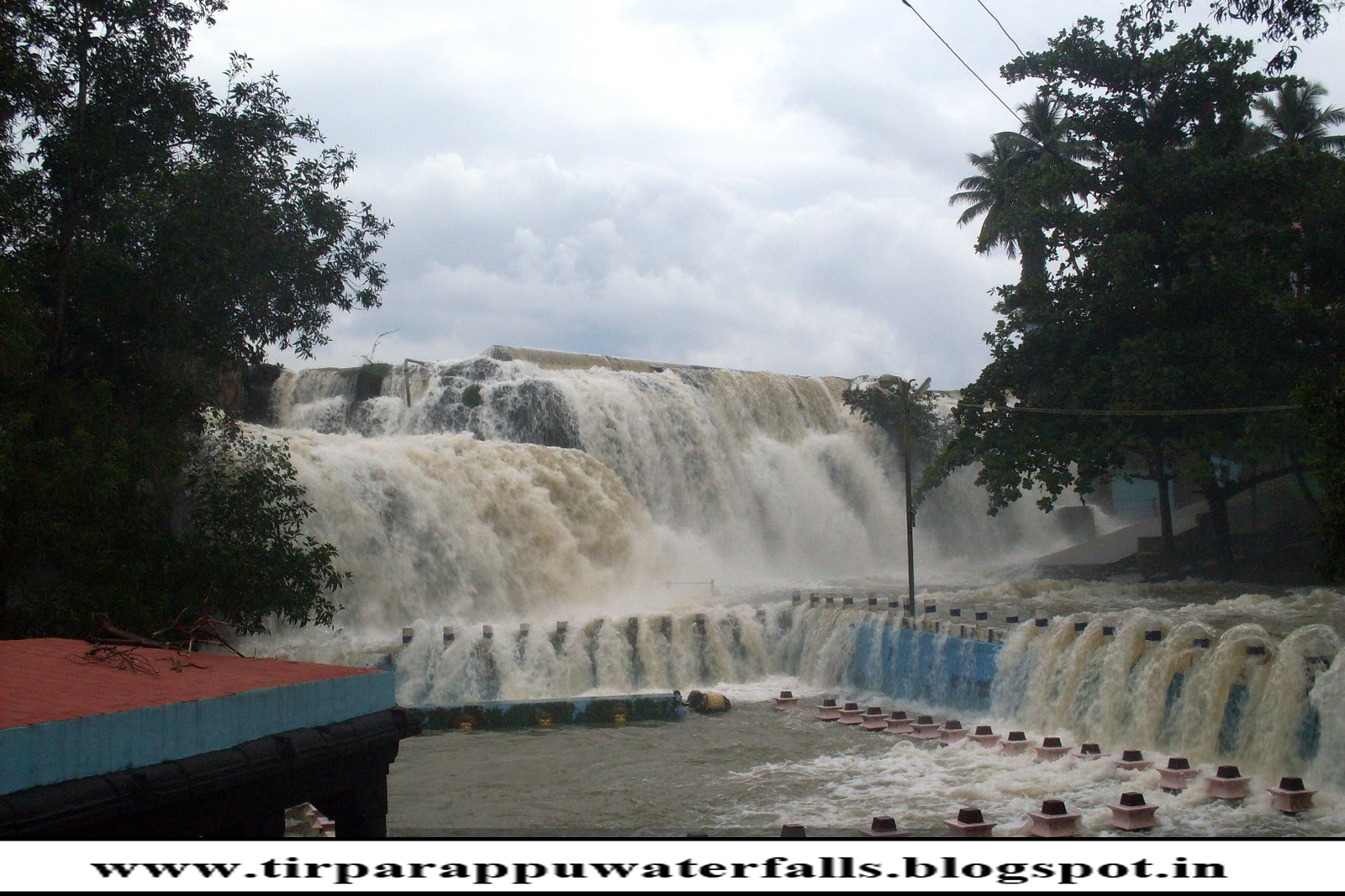 Tirparappu Water Falls: Falls Image