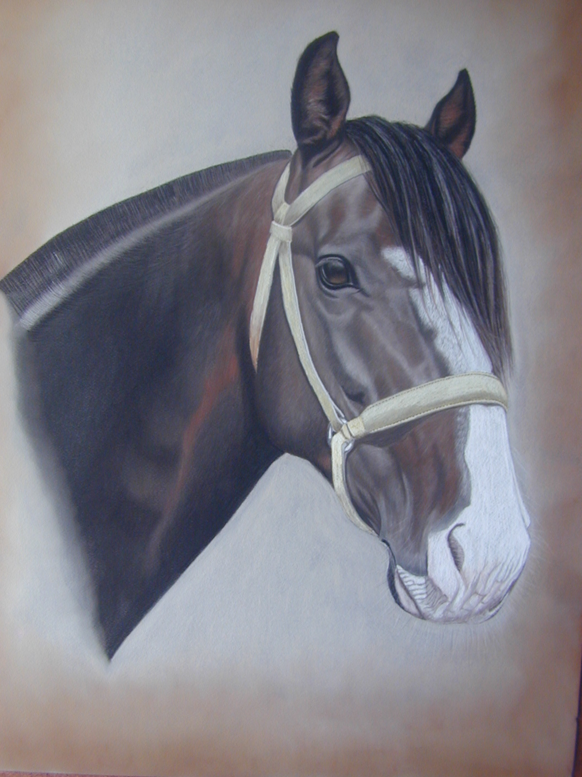 Arte Austral... Juan Carlos Castro: Caballo Chileno