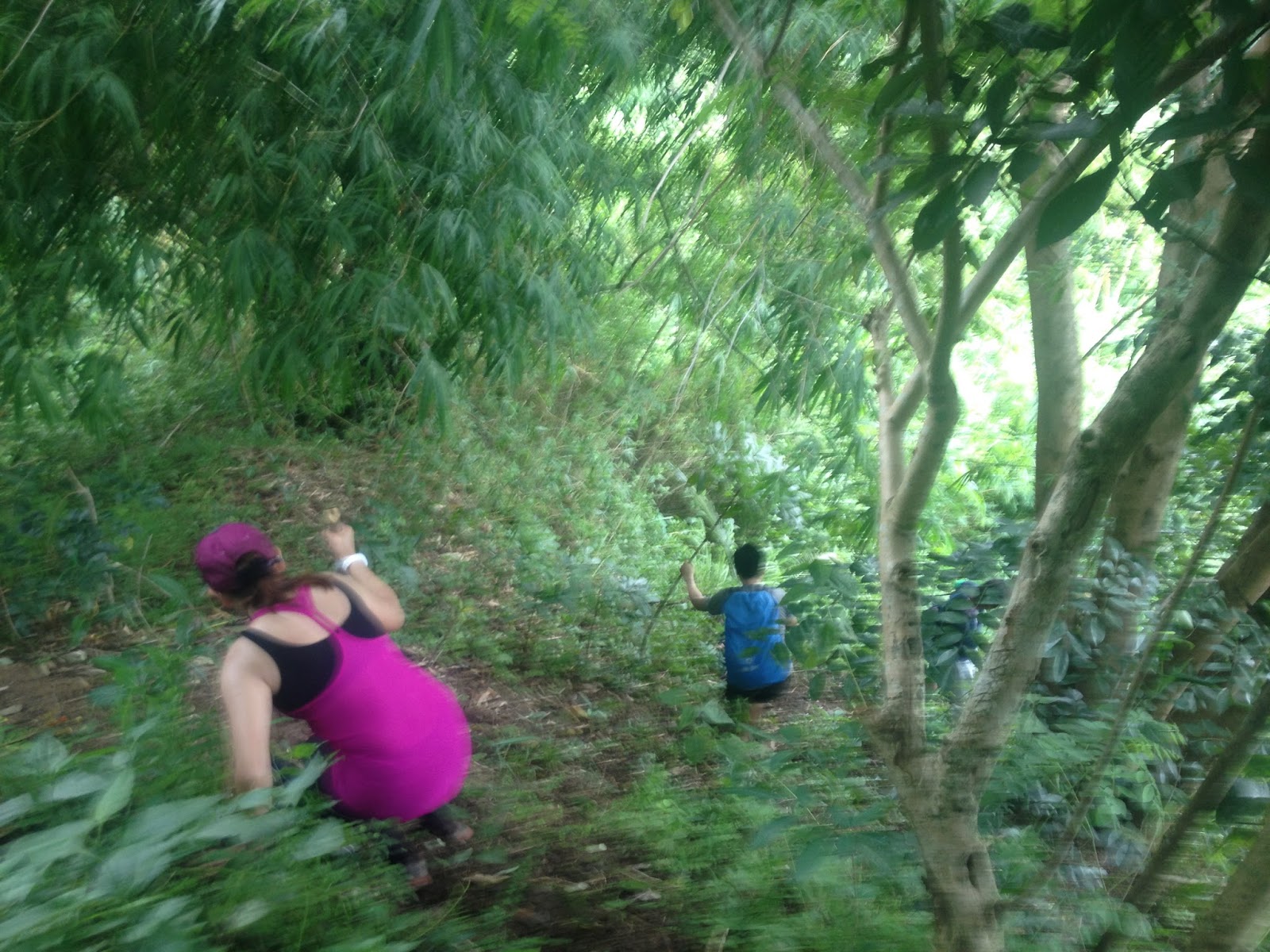 Skookum Mountaineers: Mt. Parawagan (Traverse) - A mountain in Wawa ...