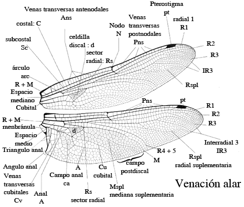 El Blog de Isa y Juan: 06/25/17