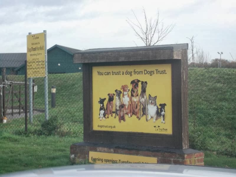 London buses one bus at a time: the return: The U9 Route