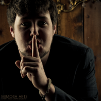 MIMOSA ARTS: Musician Spotlight: The Last Straw