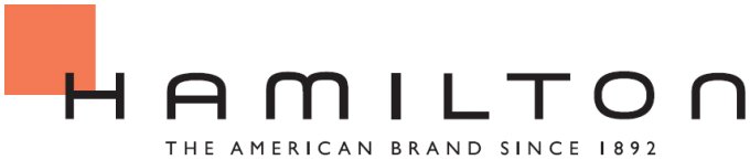 VilleElegante: The Keepers of Time - Hamilton intra-matic