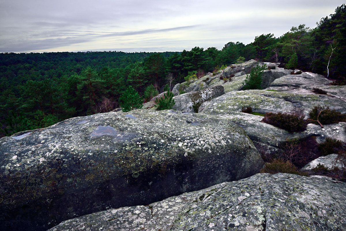 Paysages à Franchard