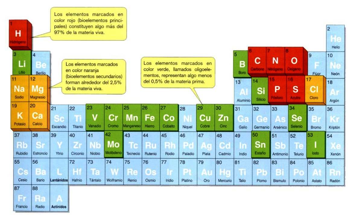 Bio-est: Composición química de la vida