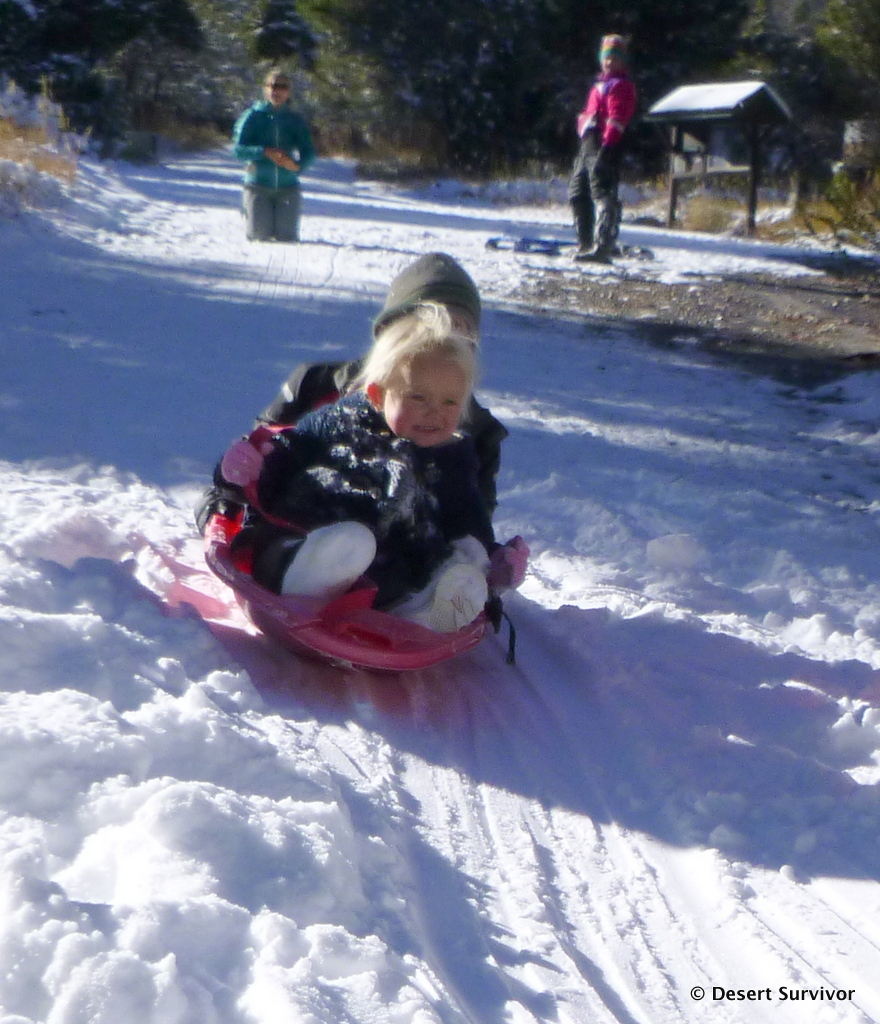 Desert Survivor: Our First Sledding Trip of the 2015/16 Winter