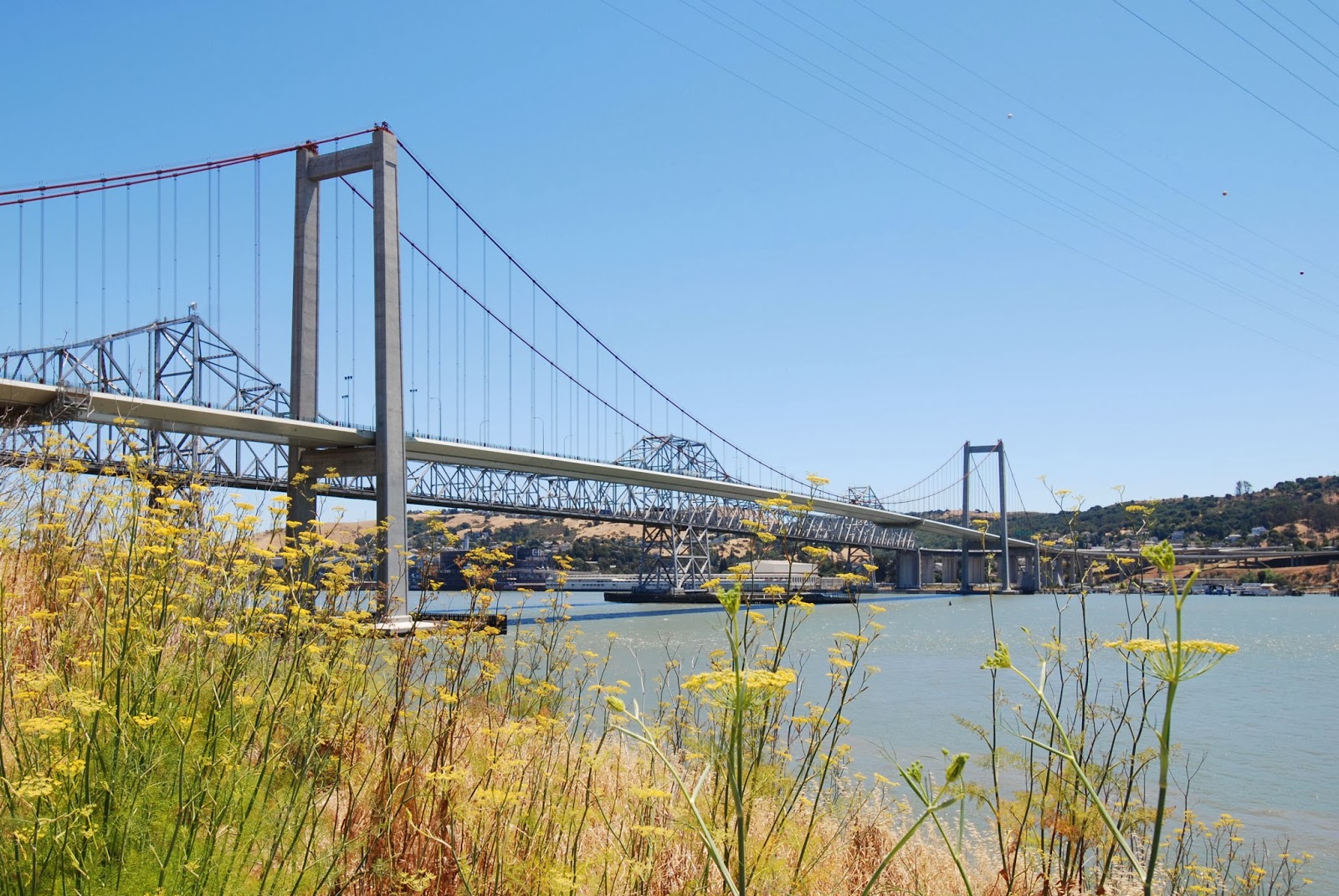Bridge of the Week: Solano County, California Bridges: I-80 Bridges ...