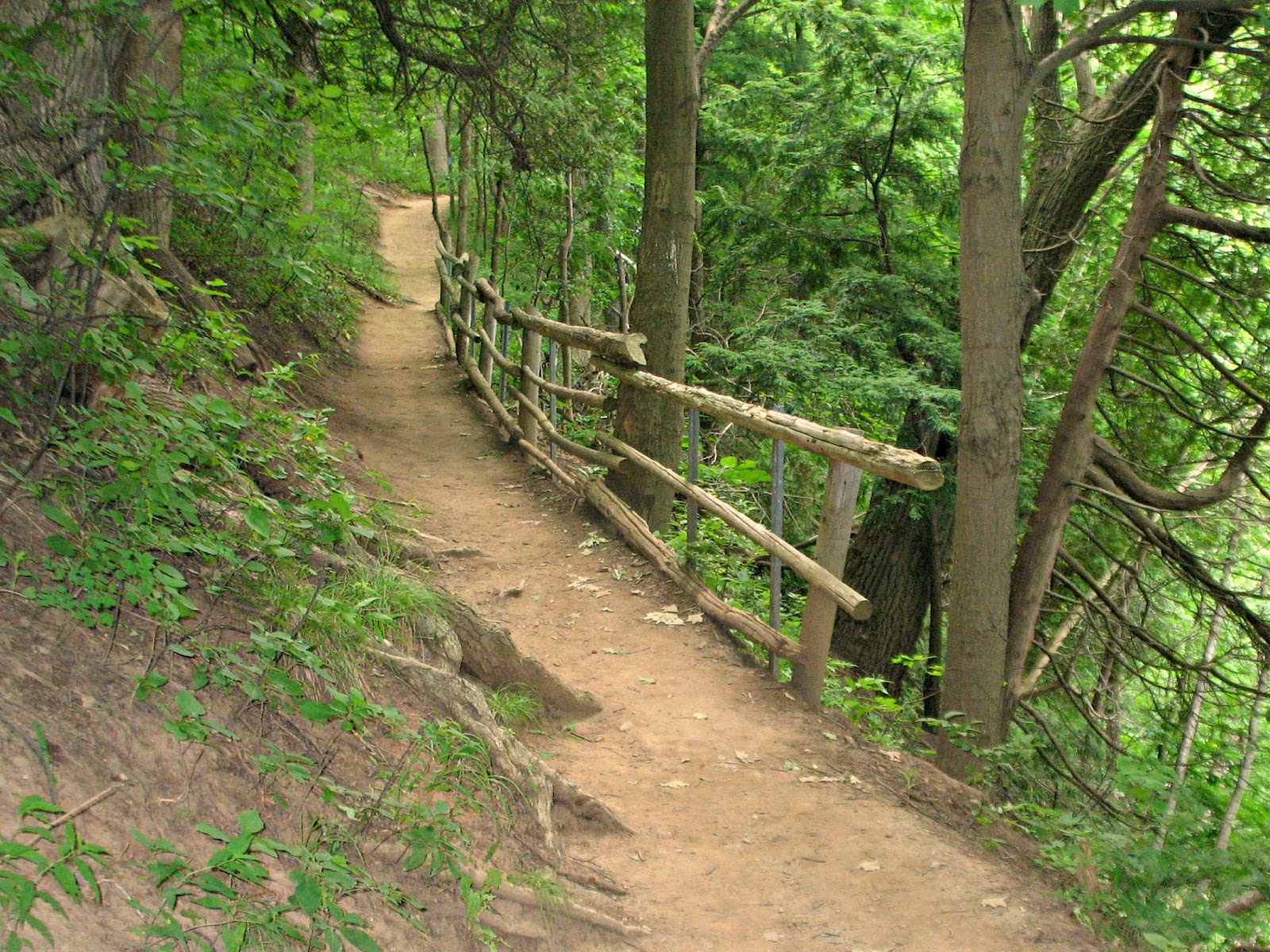 Dundas Valley Outdoors: Father’s Day Hike to the Dundas Peak