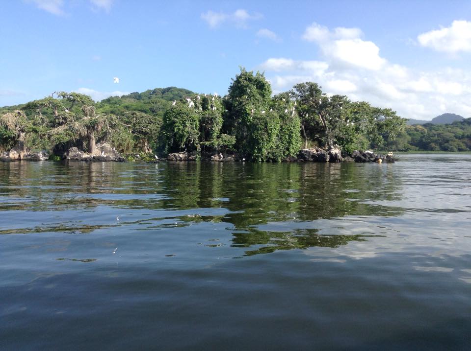 Isla de los Monos-Changos en Catemaco Veracruz ~ TEJER, DESTEJER Y ...