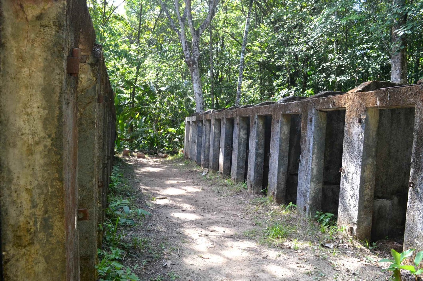 Guyane: Le bagne des Annamites - Les rêveries d'Isisya