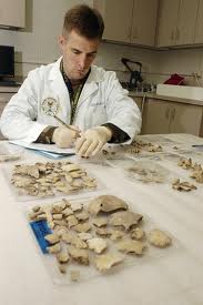 MTI: Missing Tooth Investigators: Introduction to Forensic Science and ...