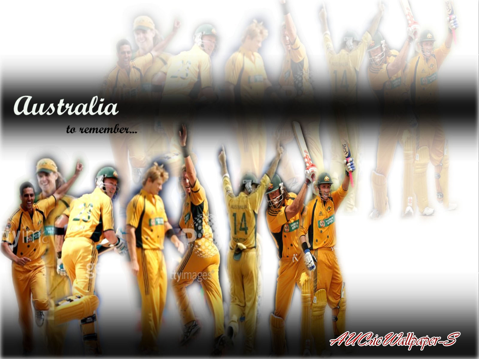 all sports wallpapers | icc world cup t20 2012 : Australia cricket team ...