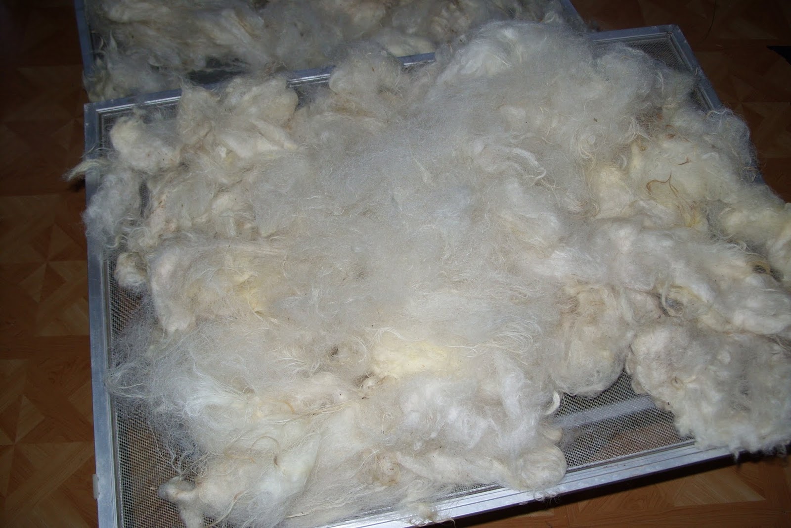 Forest House Farm: Washing Wool