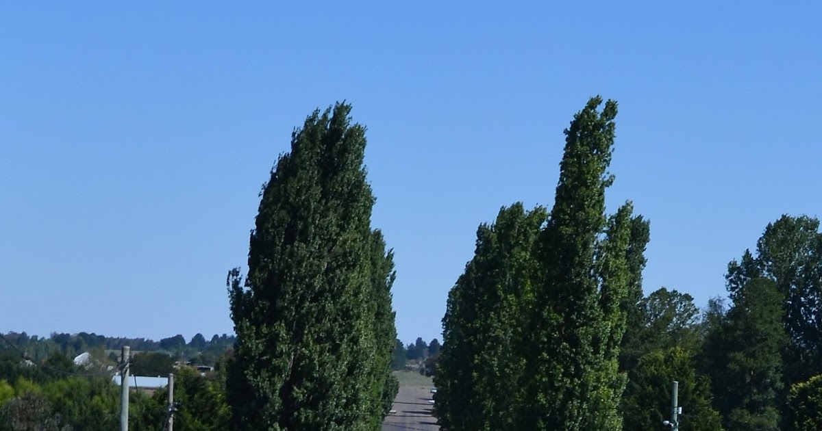 Visiting Taralga Historical Society - The Museum and Grounds