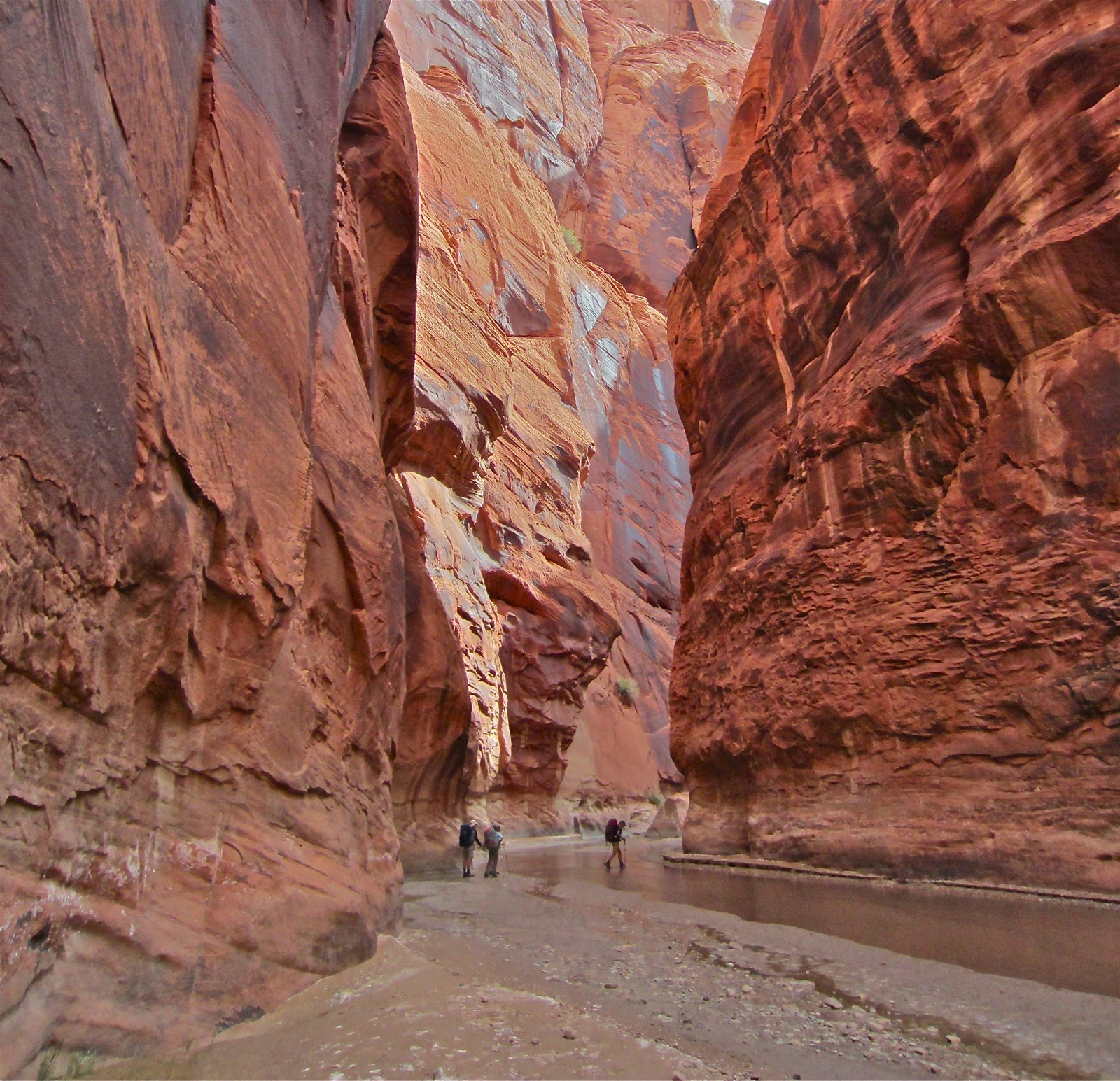 Earthline: The American West: Paria River via Buckskin Gulch