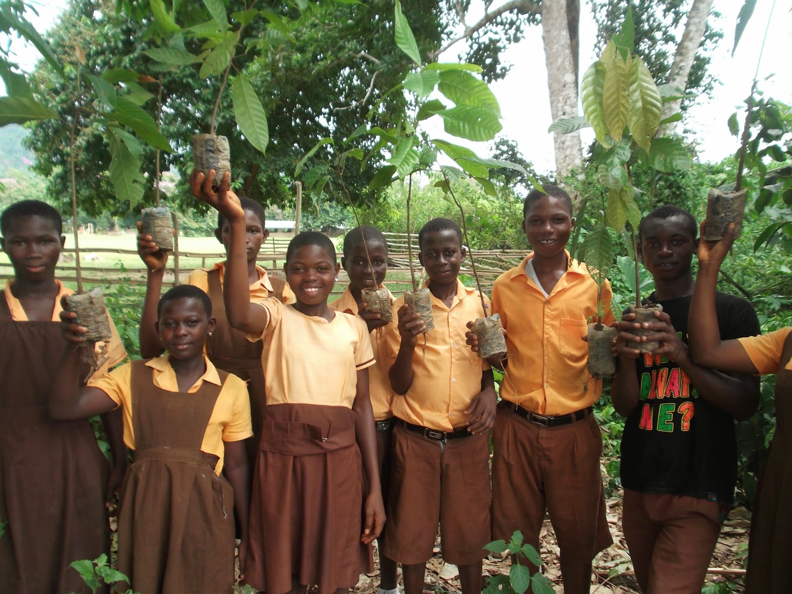 4-H Million Trees Project- Ghana: Planting Cocoa Trees for a ...
