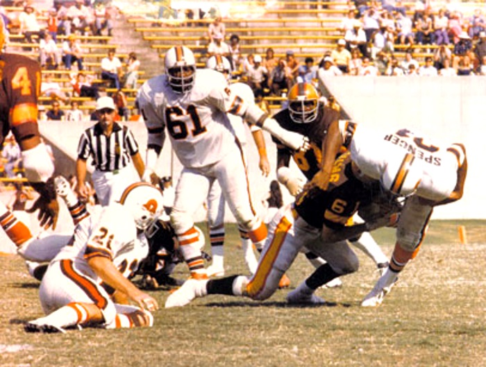 Best. Blog. Ever.: The Hawaiians at Memphis Southmen