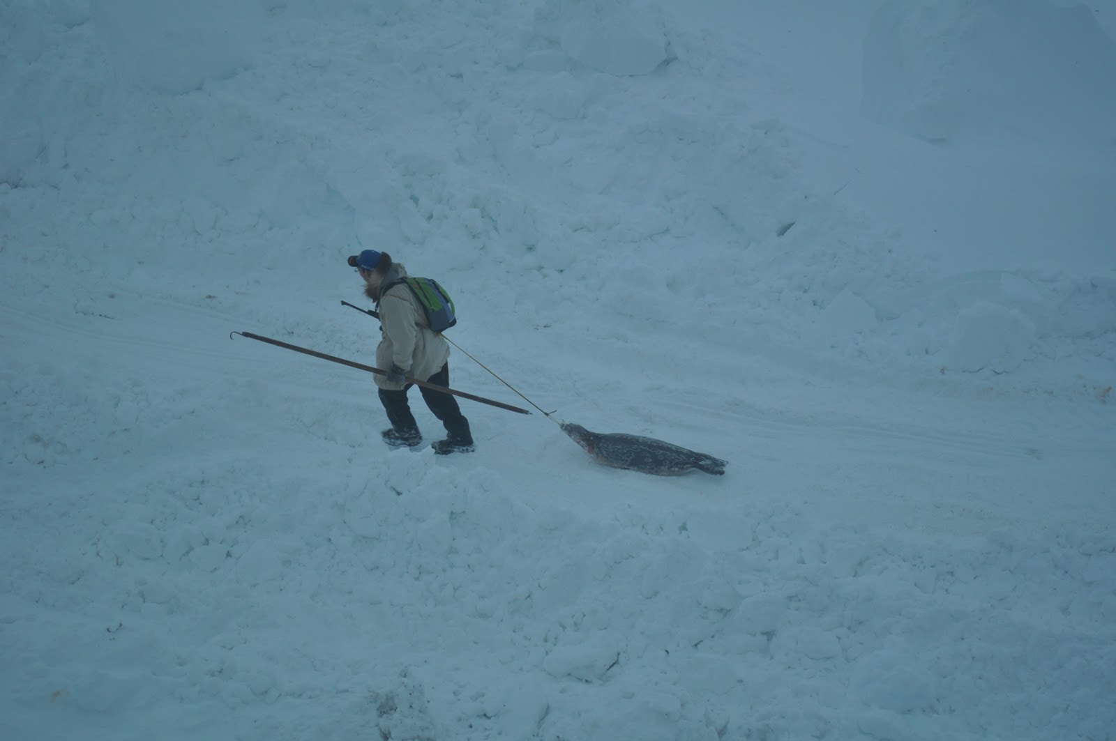 ¶ snow & mist: island living. valentine's day. oogruk!