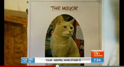 paper bag & string: Stubbs the Cat Celebrates 15th Year as Alaskan Town ...