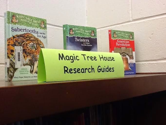 Outrageously Wild (or Wonderful) Librarian: Simple Book Displays "Sell ...