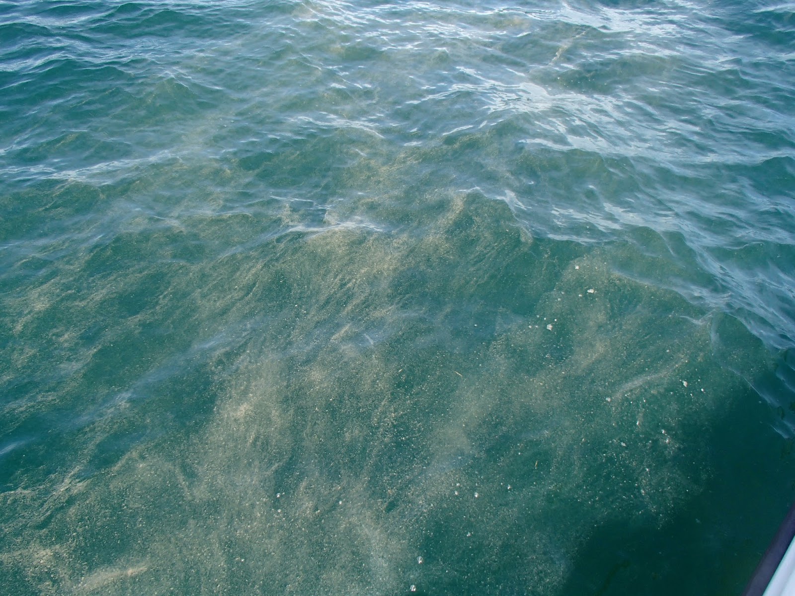 Stay In Touch With Collier County's Sea Grant Extension Program ...