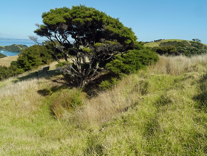 The Adventures of S/V Silhouette: February 2013