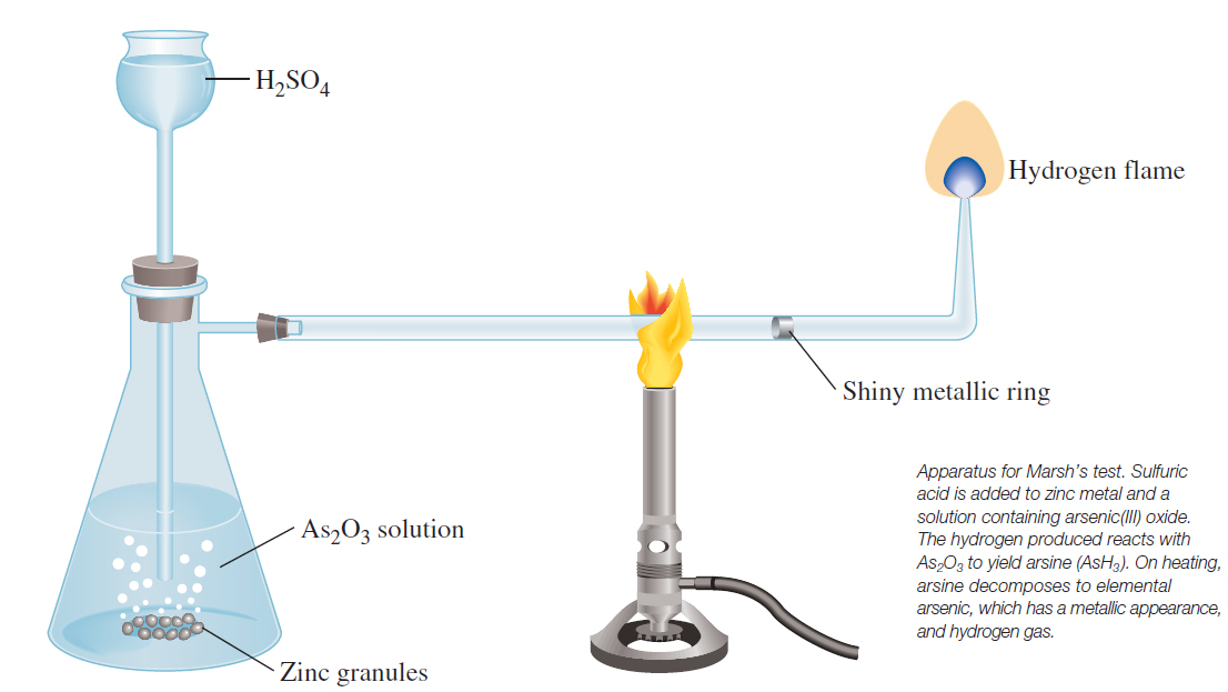 Scientist People: Who Killed Napoleon?