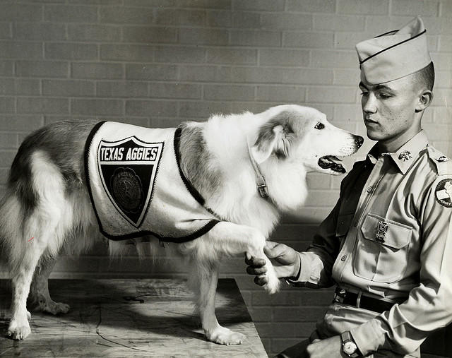 Chasing Roots: Tradition: Reveille